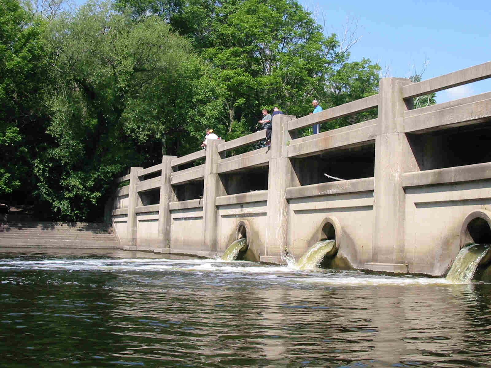 Clark Elliott, AI Professor, The Sanitary Canal