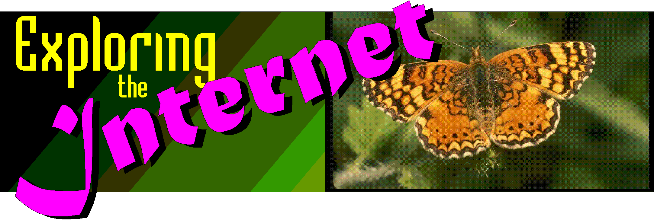 Exploring the Internet
