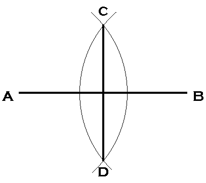 CONSTRUCTING BISECTORS